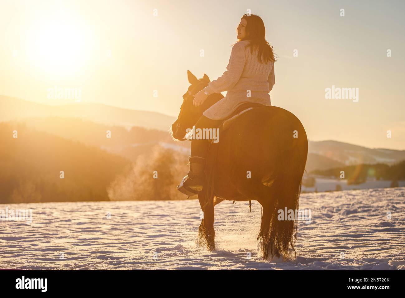 Portrait of an equestrian woman riding on her horse in front of a rural ...