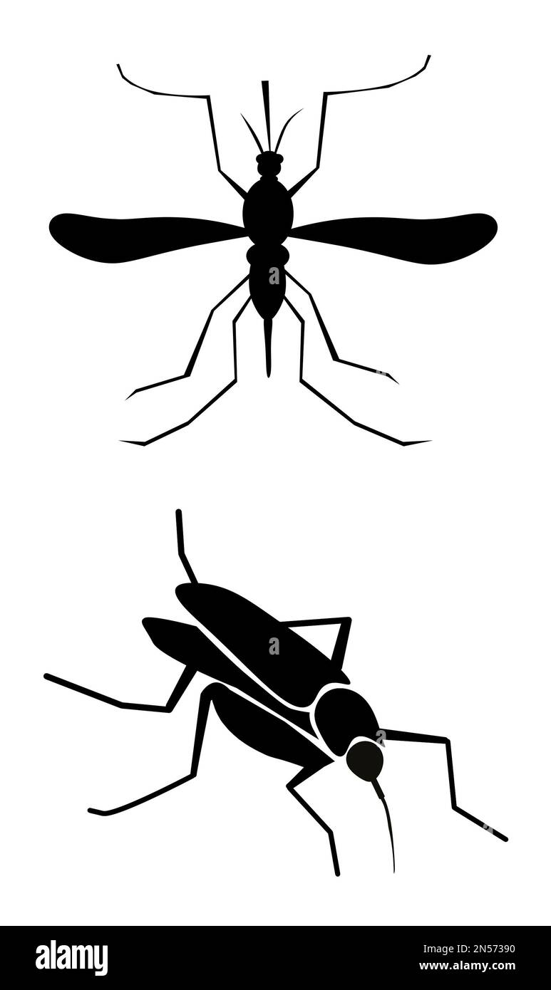 Black mosquitoes on white background, banner design. Illustration Stock ...