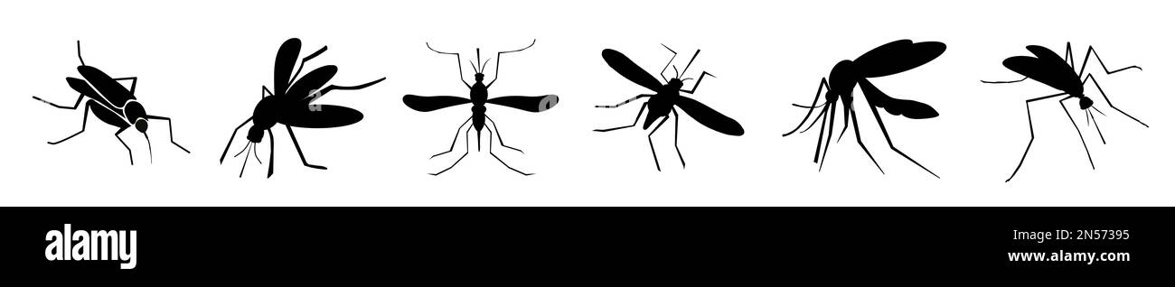 Set of black mosquitoes on white background, banner design ...