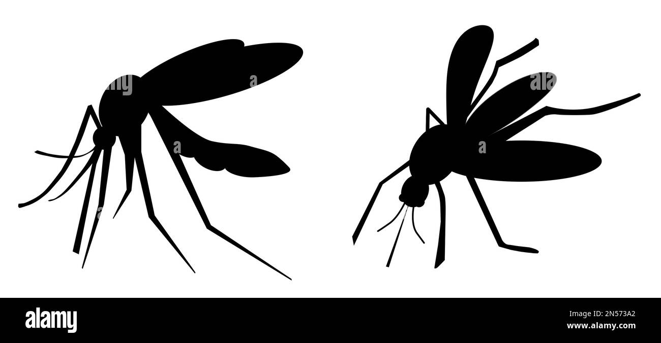 Black mosquitoes on white background, banner design. Illustration Stock ...