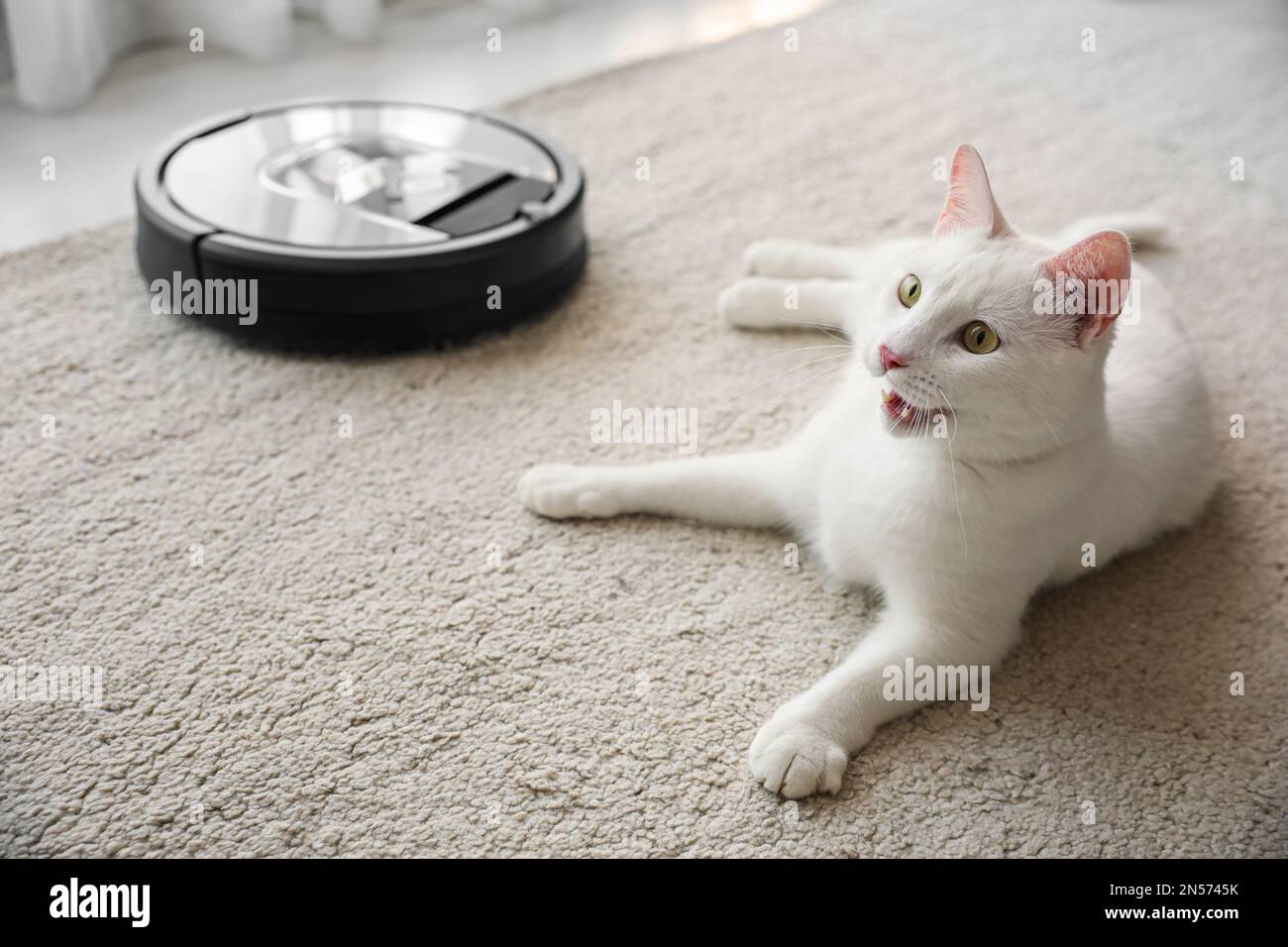 Modern robotic vacuum cleaner and cute cat on floor indoors Stock Photo ...