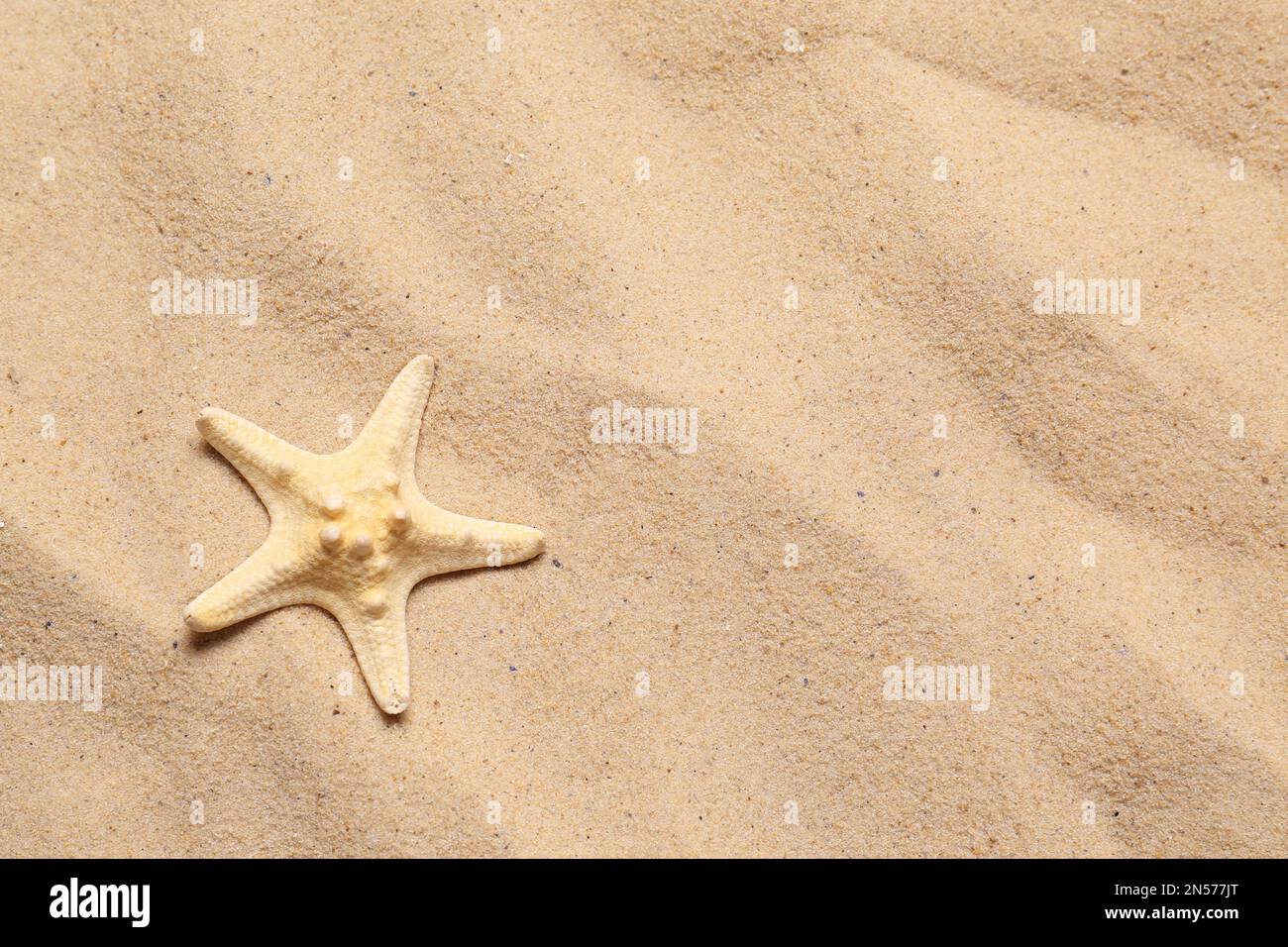 Beautiful starfish and space for text on beach sand, top view. Summer ...