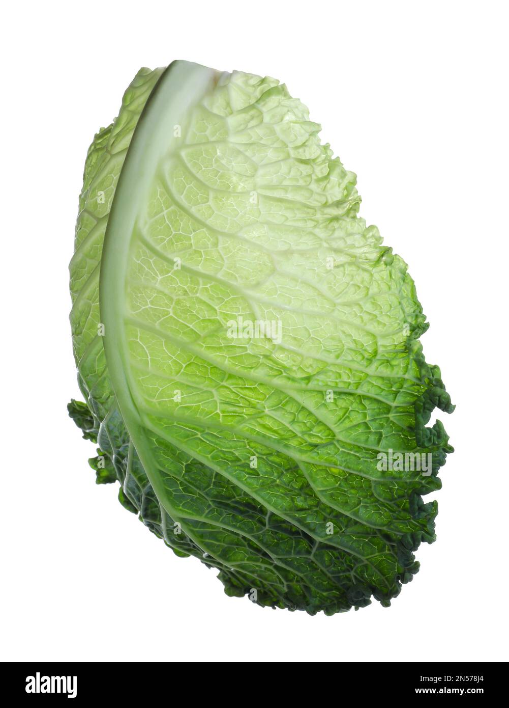 Leaf of fresh savoy cabbage isolated on white Stock Photo - Alamy