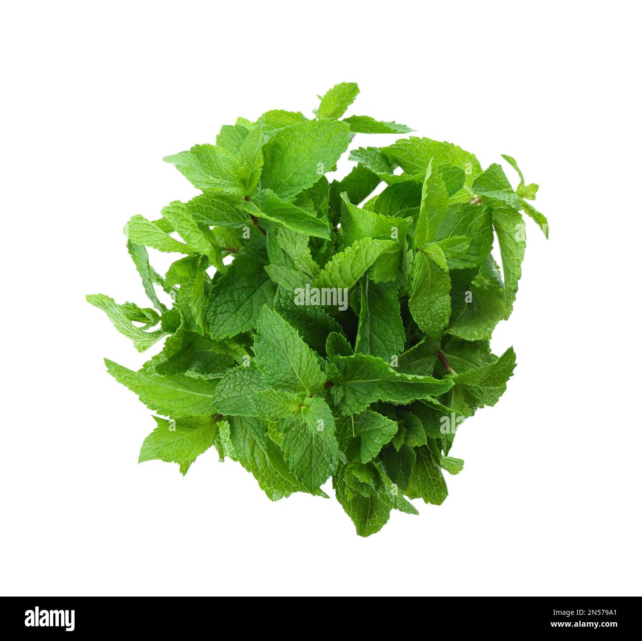 Bunch of fresh mint isolated on white, top view Stock Photo - Alamy