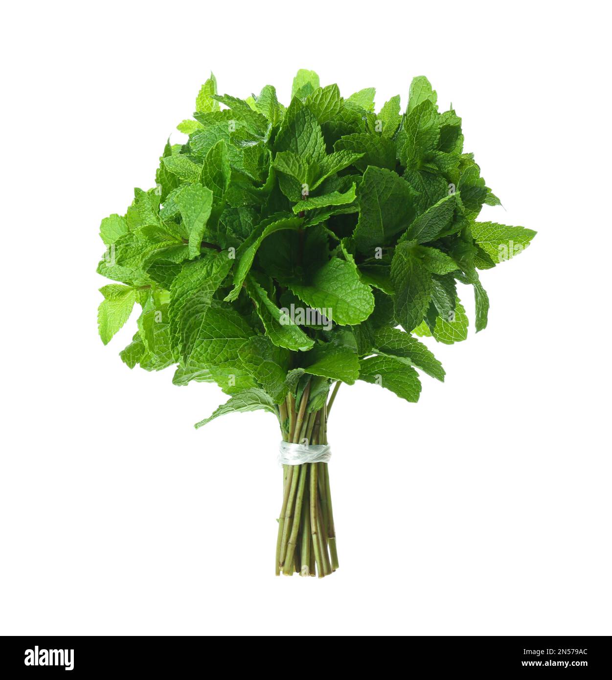 Bunch of fresh mint hi-res stock photography and images - Alamy