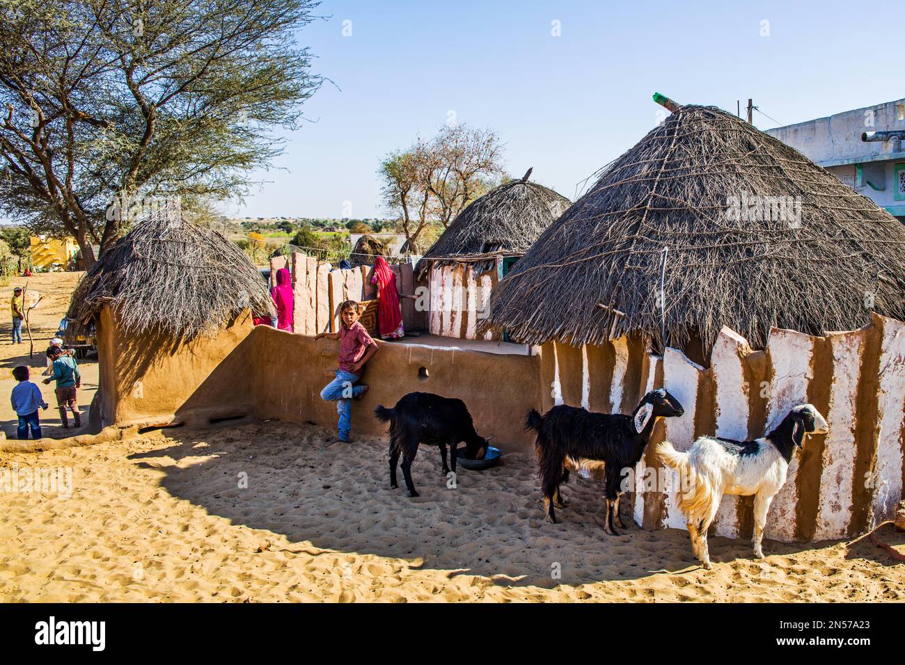 Mud hut settlement in the Thar Desert, Thar Desert, Rajasthan, India ...