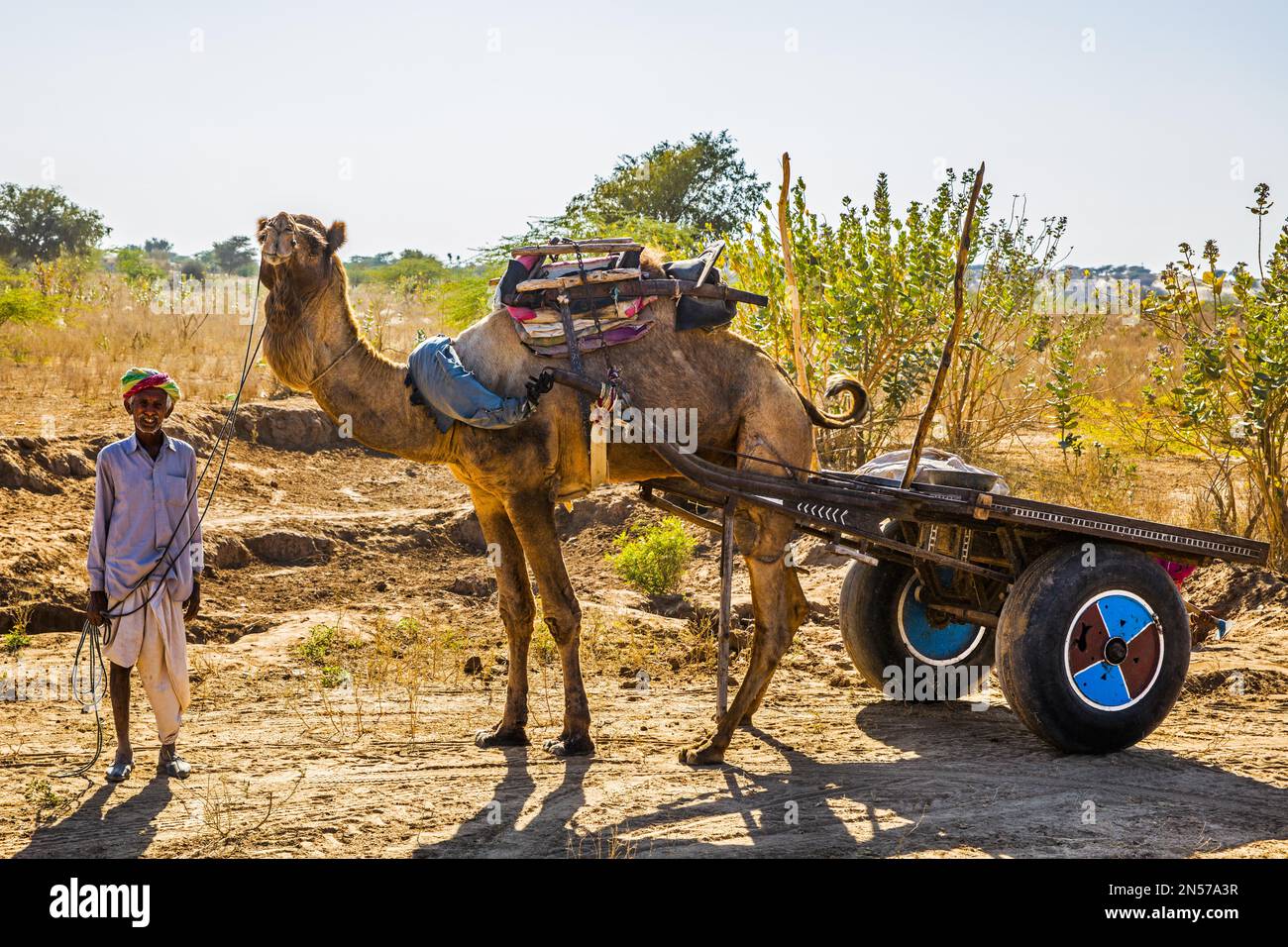 Camel carriage, in the Thar Desert, Thar Desert, Rajasthan, India Stock ...