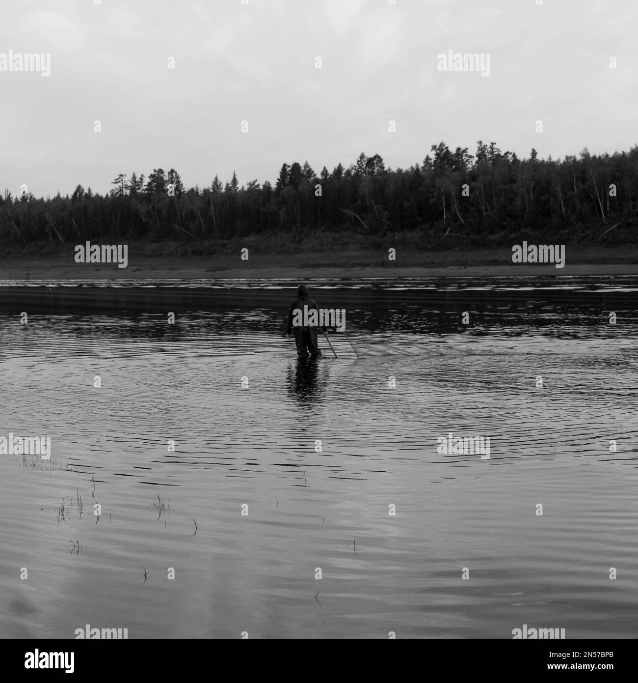 Photo network Black and White Stock Photos & Images - Alamy