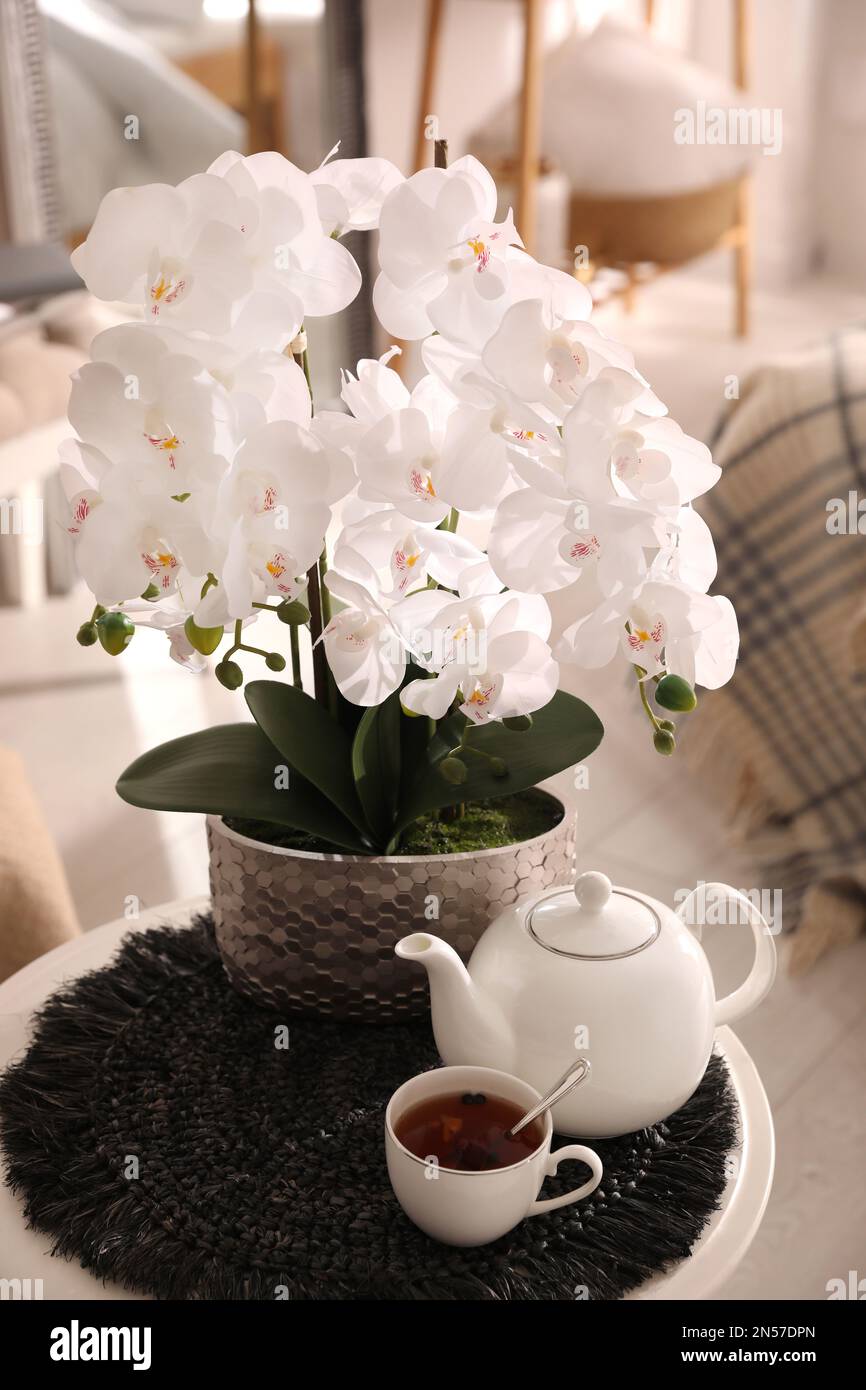 Beautiful white orchids and tea set on table in room Stock Photo - Alamy
