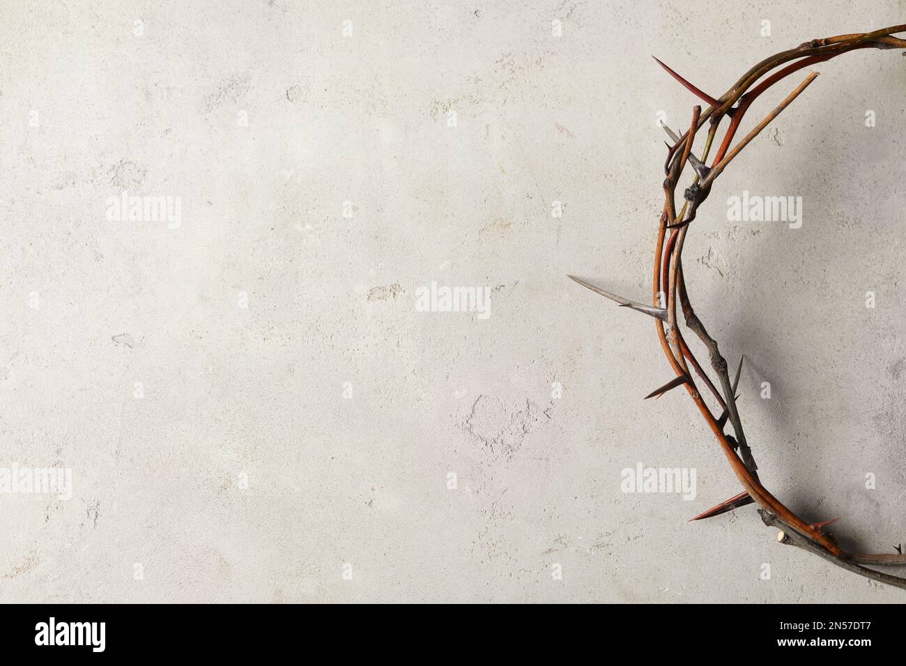 Crown of thorns on light background, top view with space for text ...