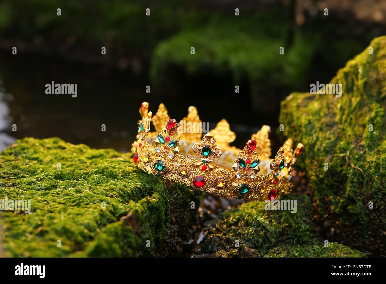 Precious stones queen crown hi-res stock photography and images - Alamy