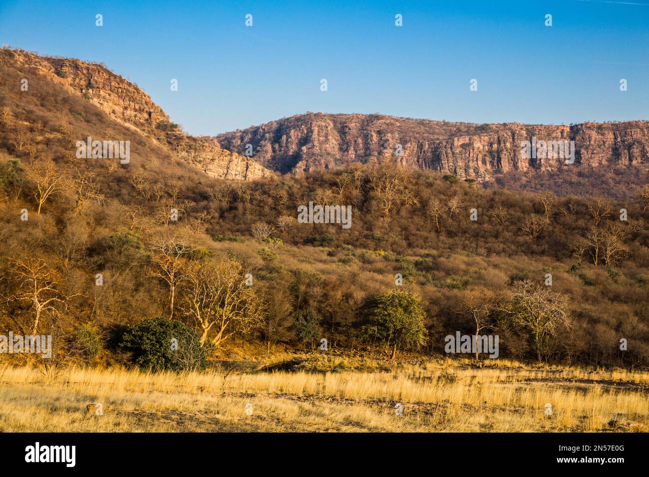 Ranthambore National Park and Tiger Reserve, Ranthambore, Rajasthan ...