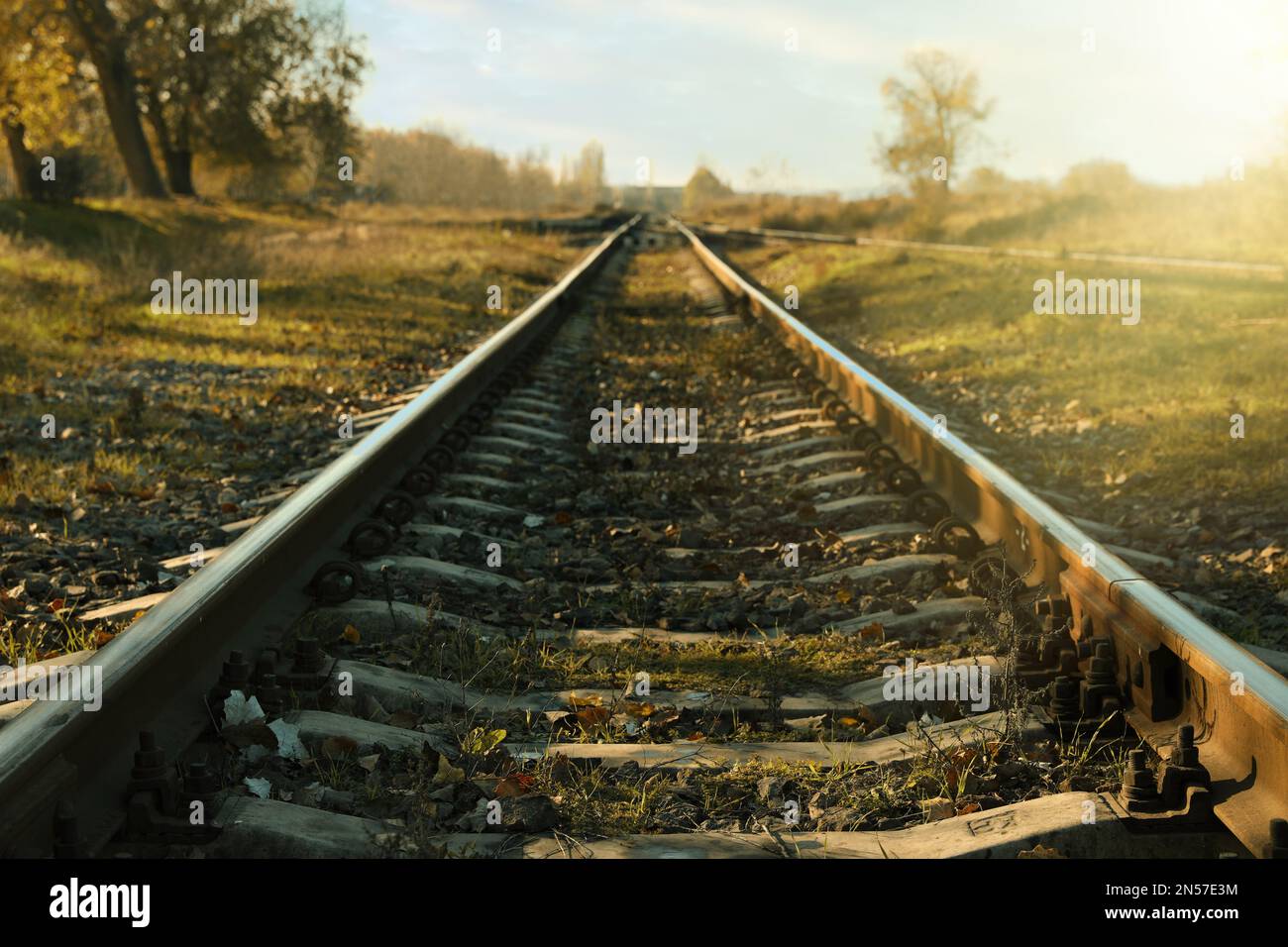 Sunny day train hi-res stock photography and images - Alamy