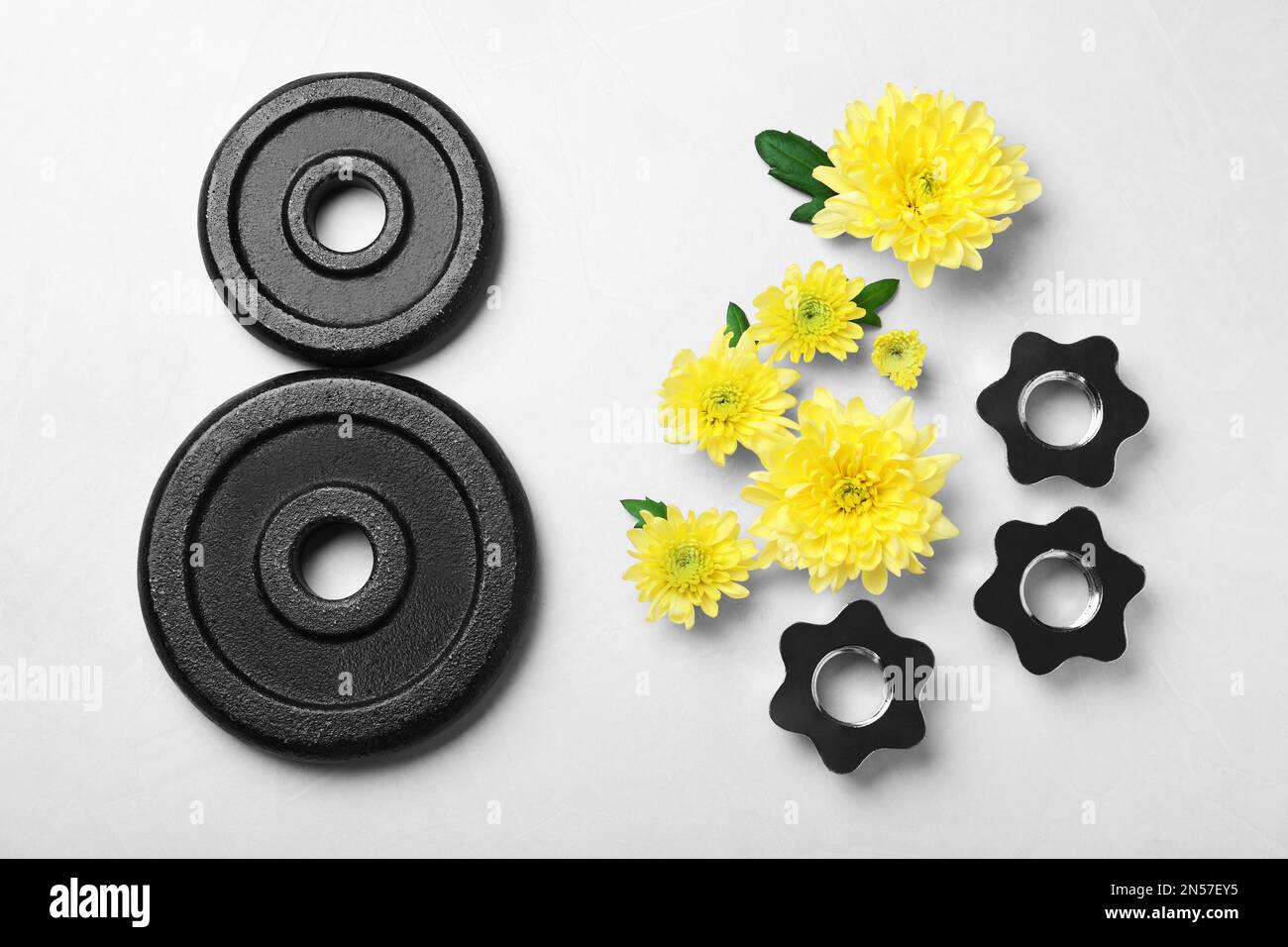 8 March greeting card design with chrysanthemum flowers and weight ...