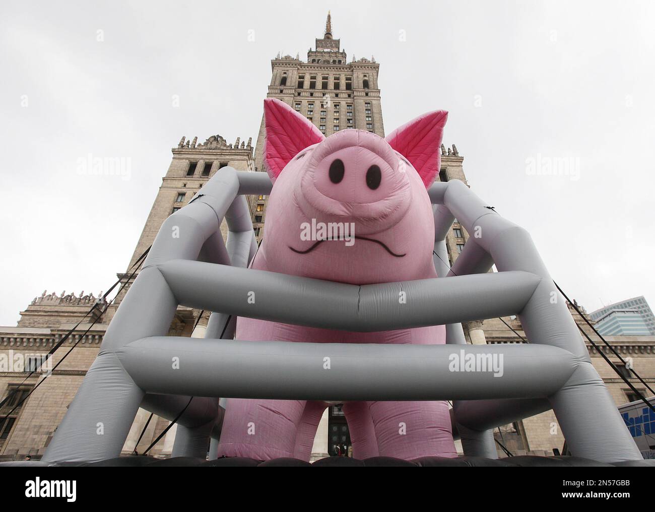 The plastic pig 'Hope' stands in front of the Palace of Culture and ...
