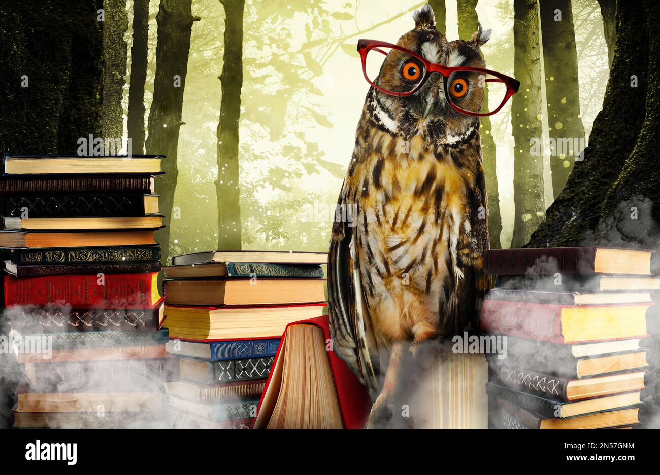 Beautiful wise owl near books in fantasy world Stock Photo - Alamy