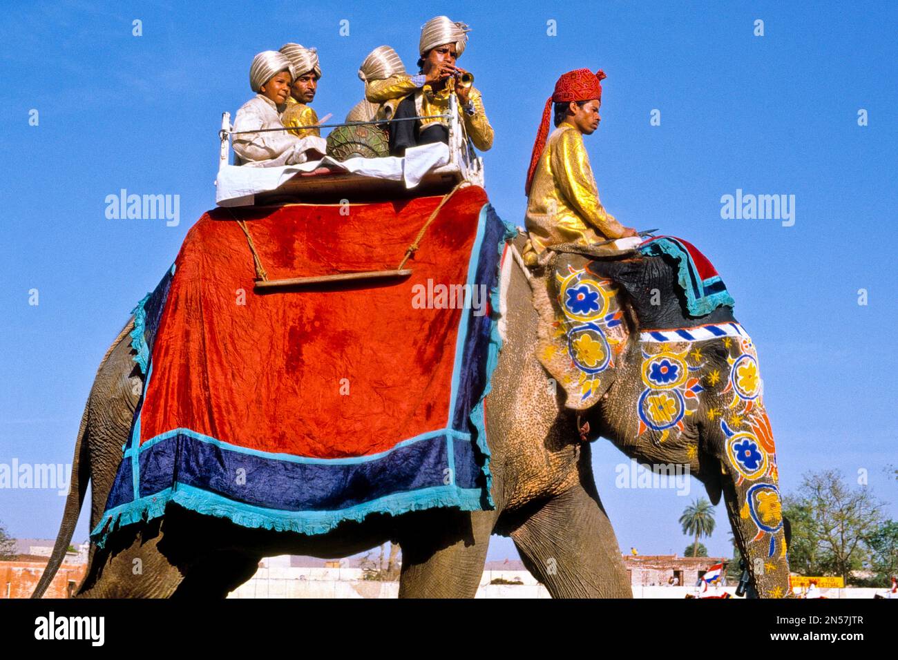 Festive parades with camels and elephants, Holi festival, Jaipur ...