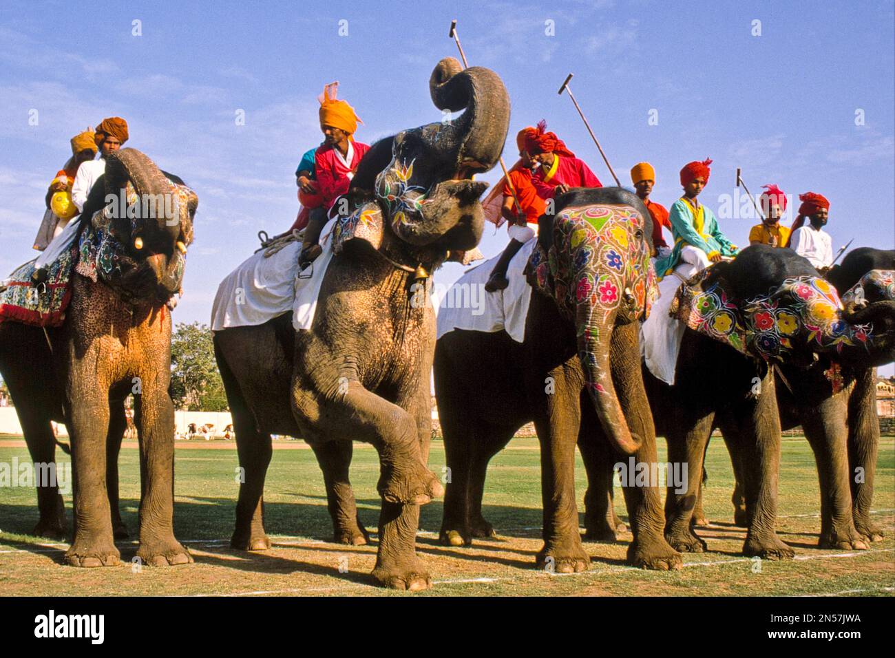 Elephant polo at Holi festival, Jaipur, Rajasthan, India Stock Photo ...