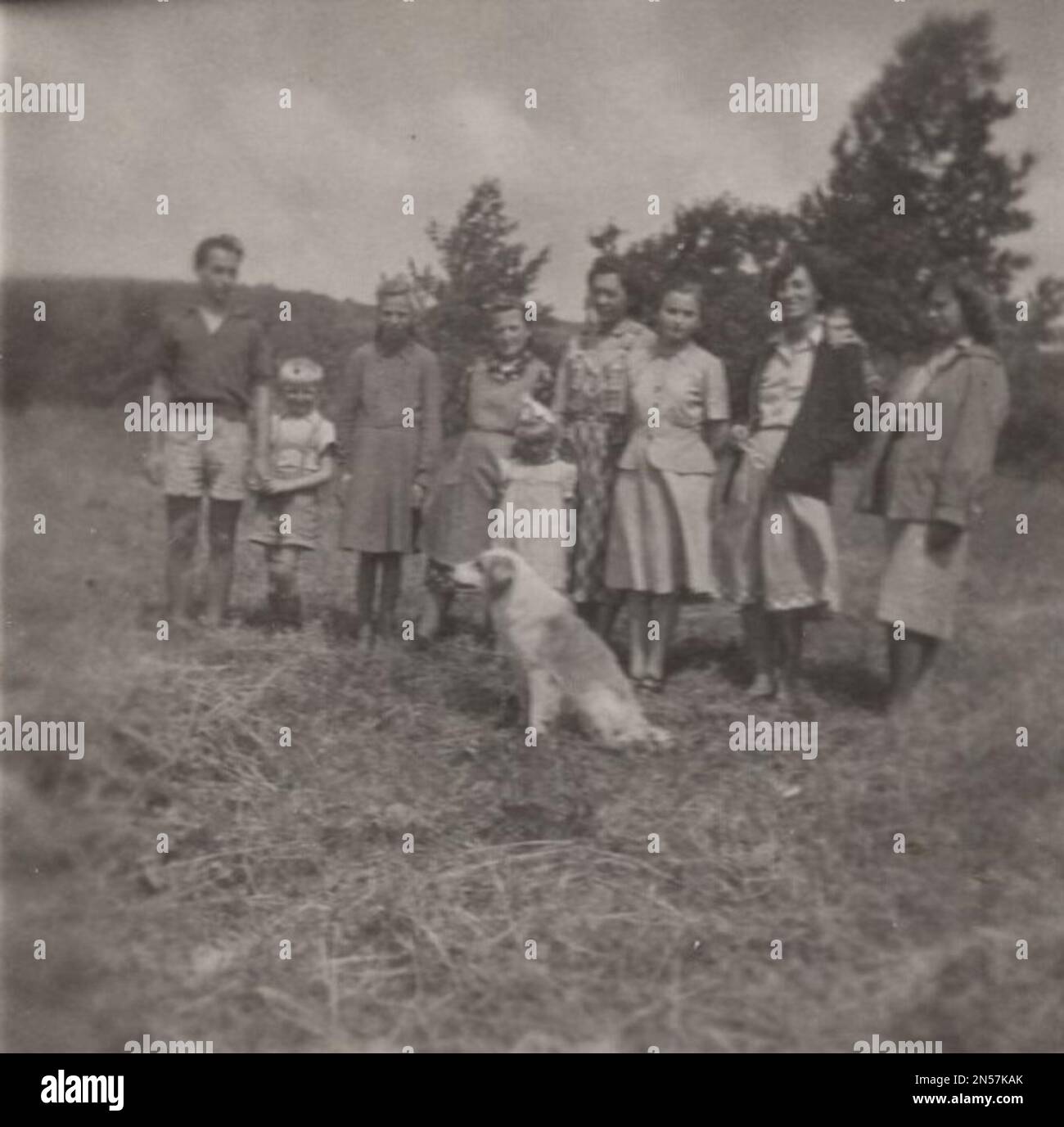 How Good Is A Dogs Memory