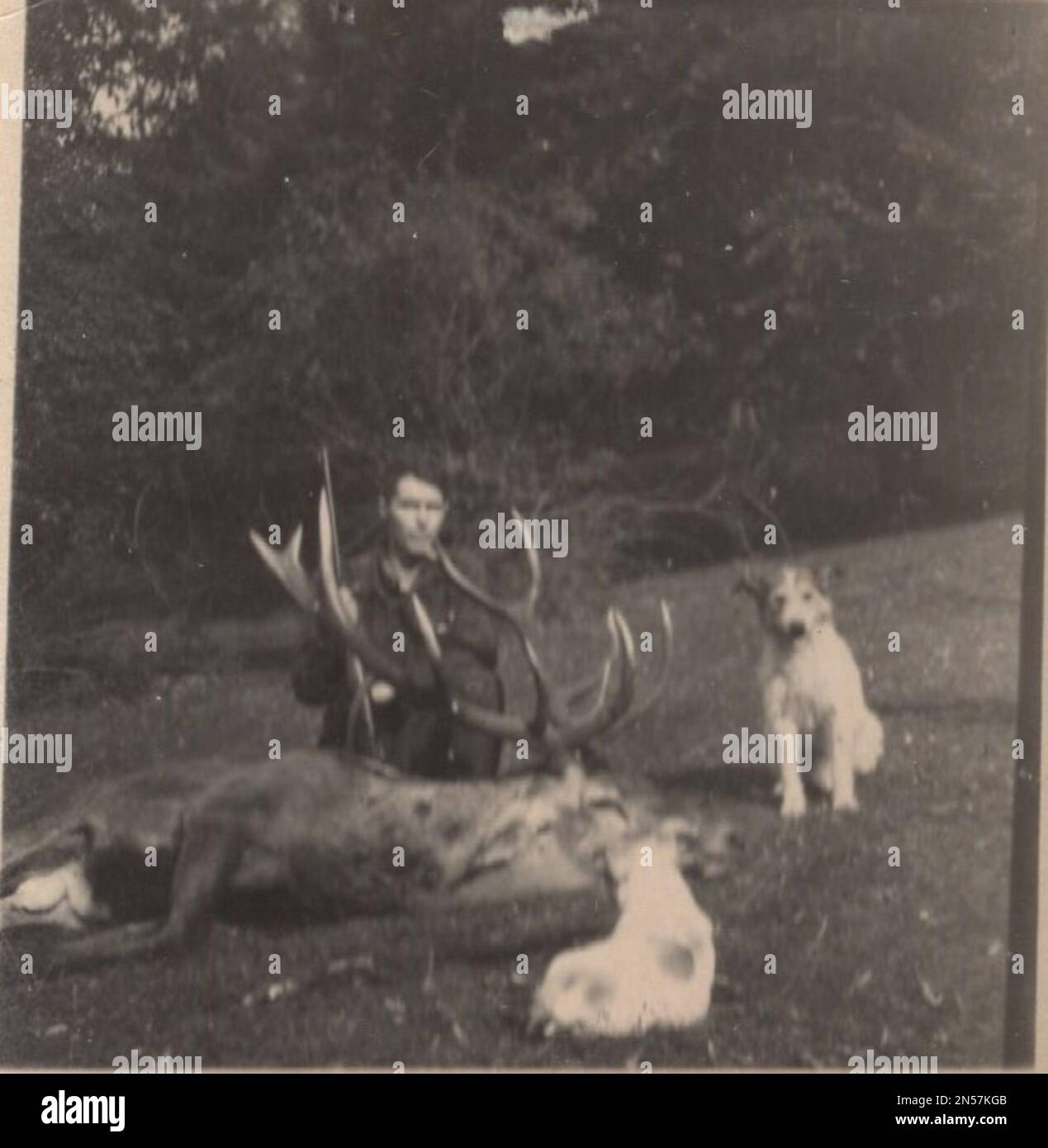 Vintage hunter posing with his two dogs hi-res stock photography and ...