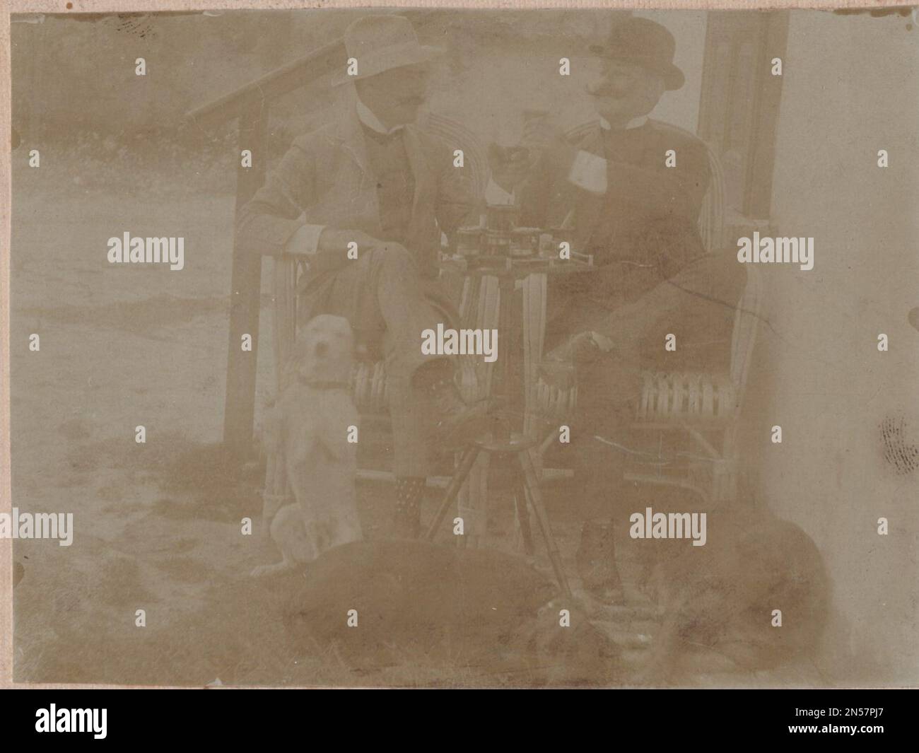 Vintage Photograph Showing friends and Puppy Dog / vintage memory ...