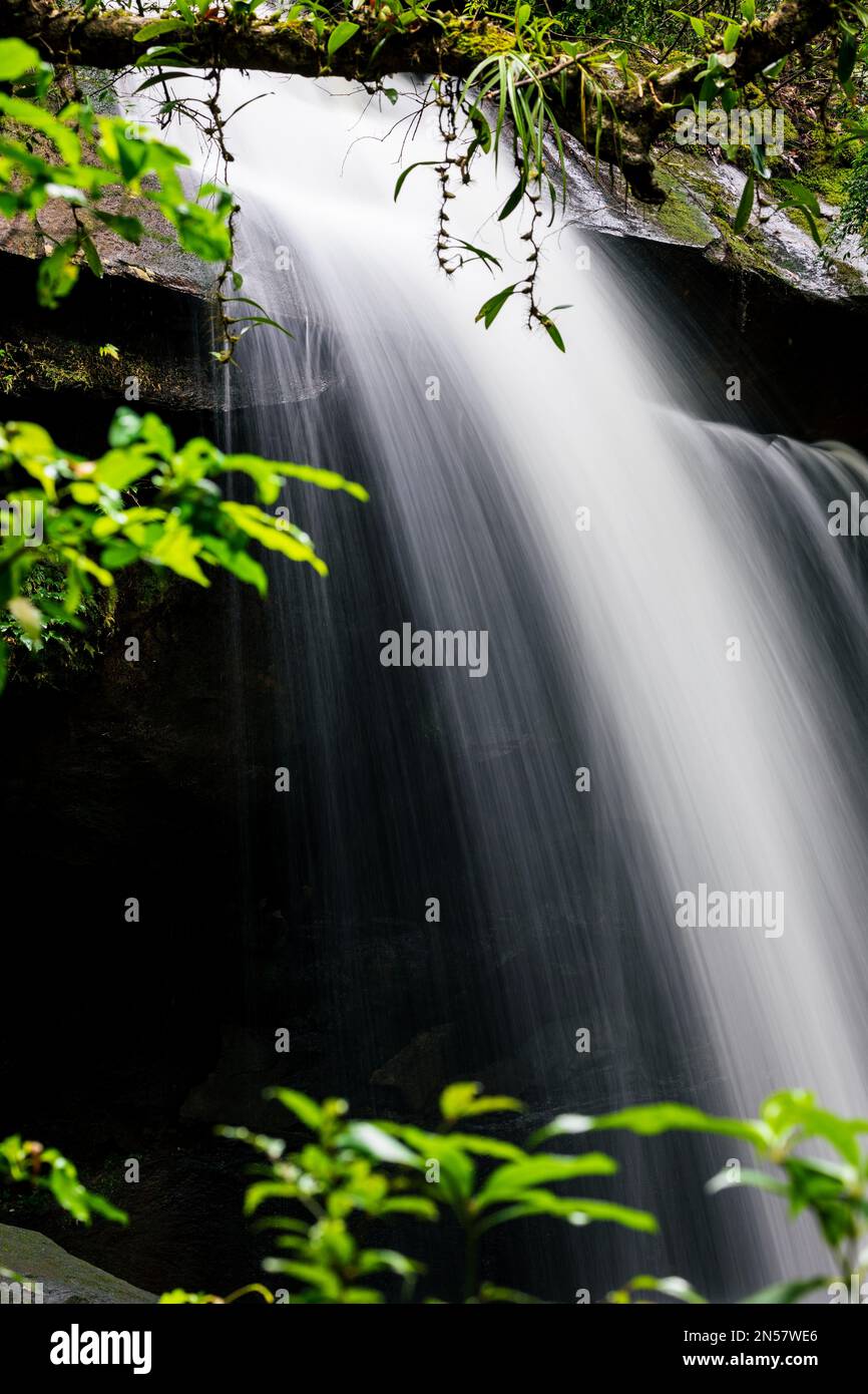 Natural scene of waterfall with long exposure technique inside tropical ...