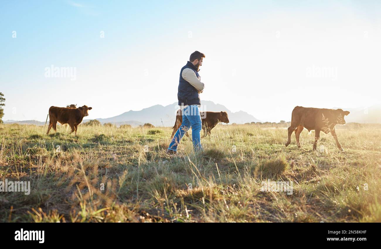 Man, farmer and animals in the countryside for agriculture, travel or ...