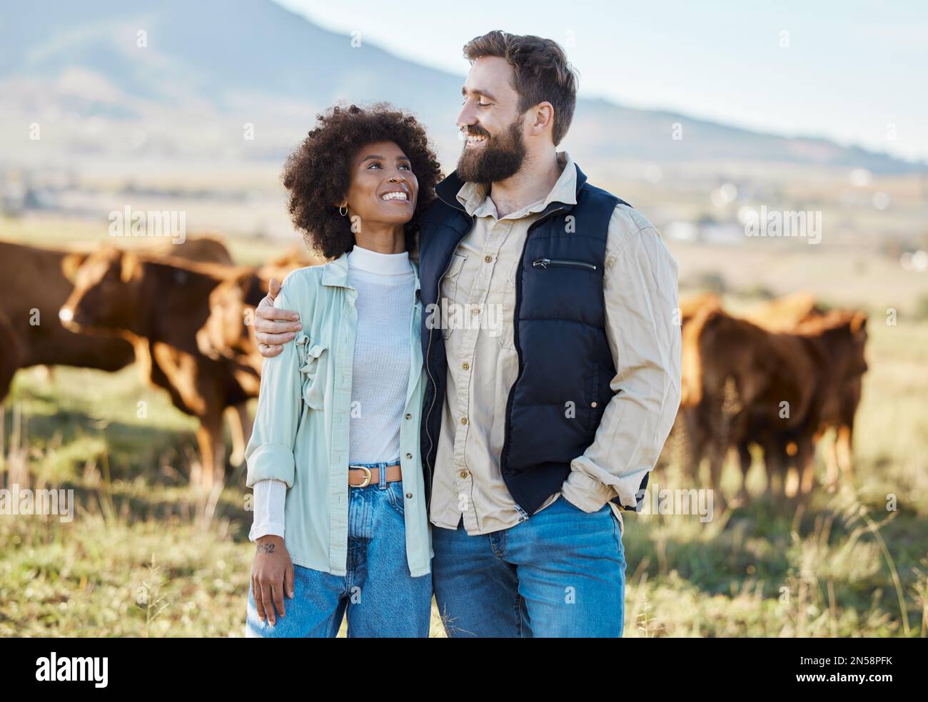 Happy, cow and love with couple on farm for agriculture, nature and ...