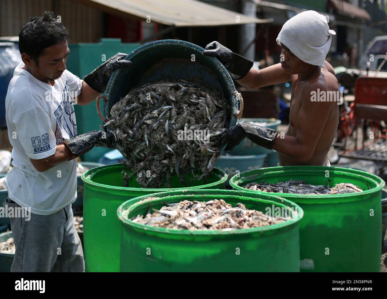 Filipino fish dealer, Arturo Del Rosario, left, and worker Raymond Deguira transfer salted fish ...
