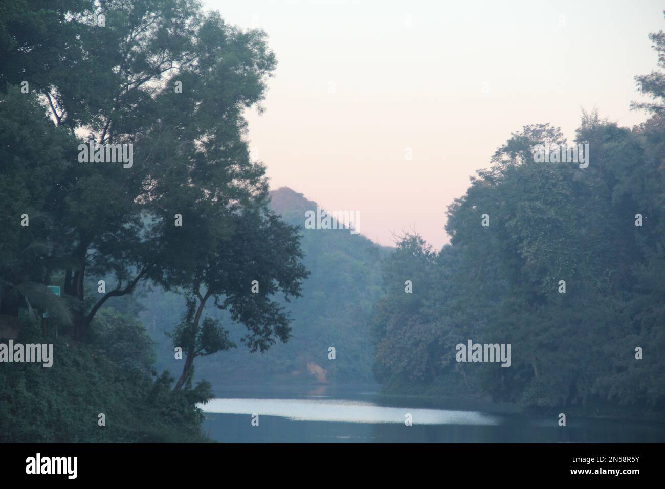 Real life nature hi-res stock photography and images - Alamy