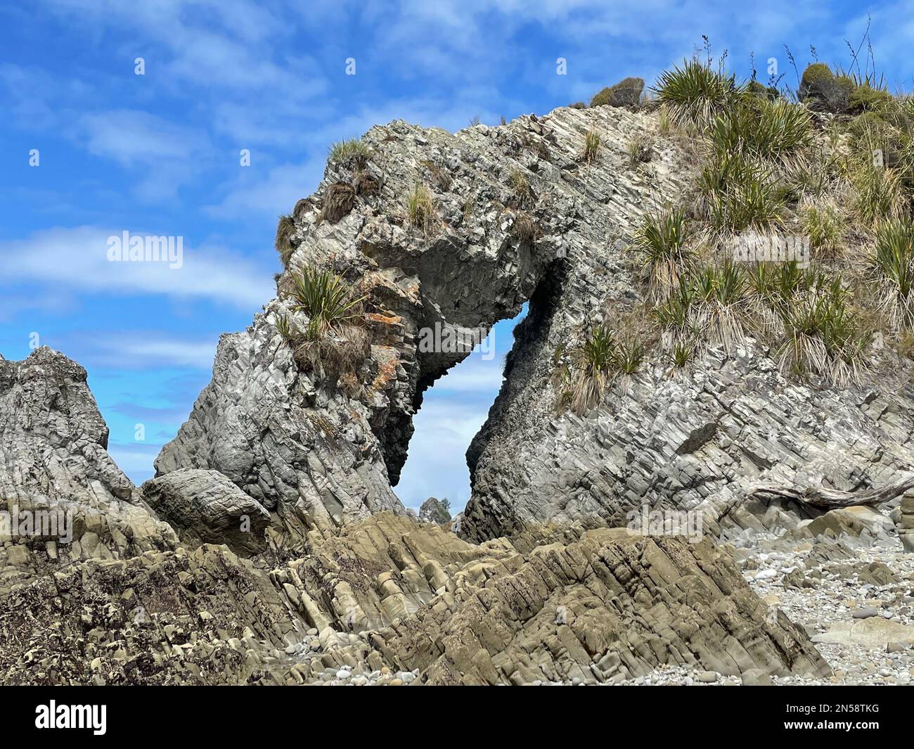 The view of natural rock arch, Mangawhai Cliff walk, Auckland, New ...