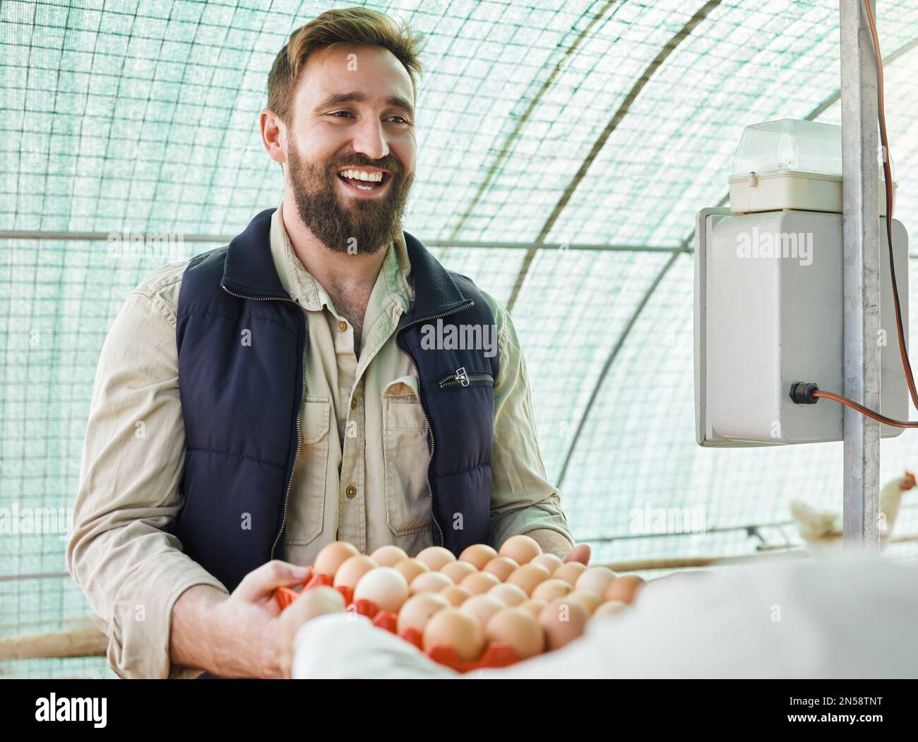 Farm, agriculture and man with egg for quality control, growth ...