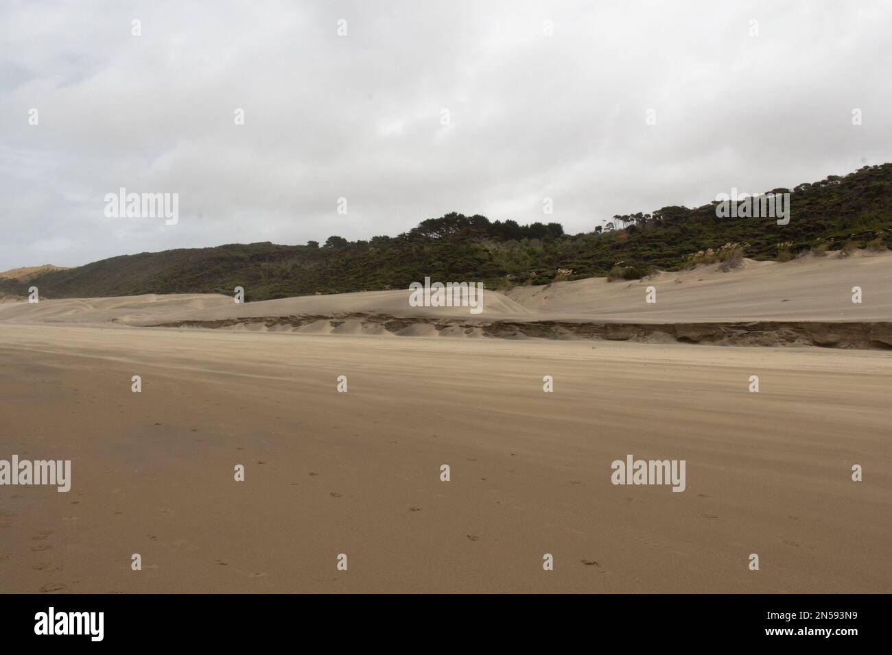 Pouto beach hi-res stock photography and images - Alamy