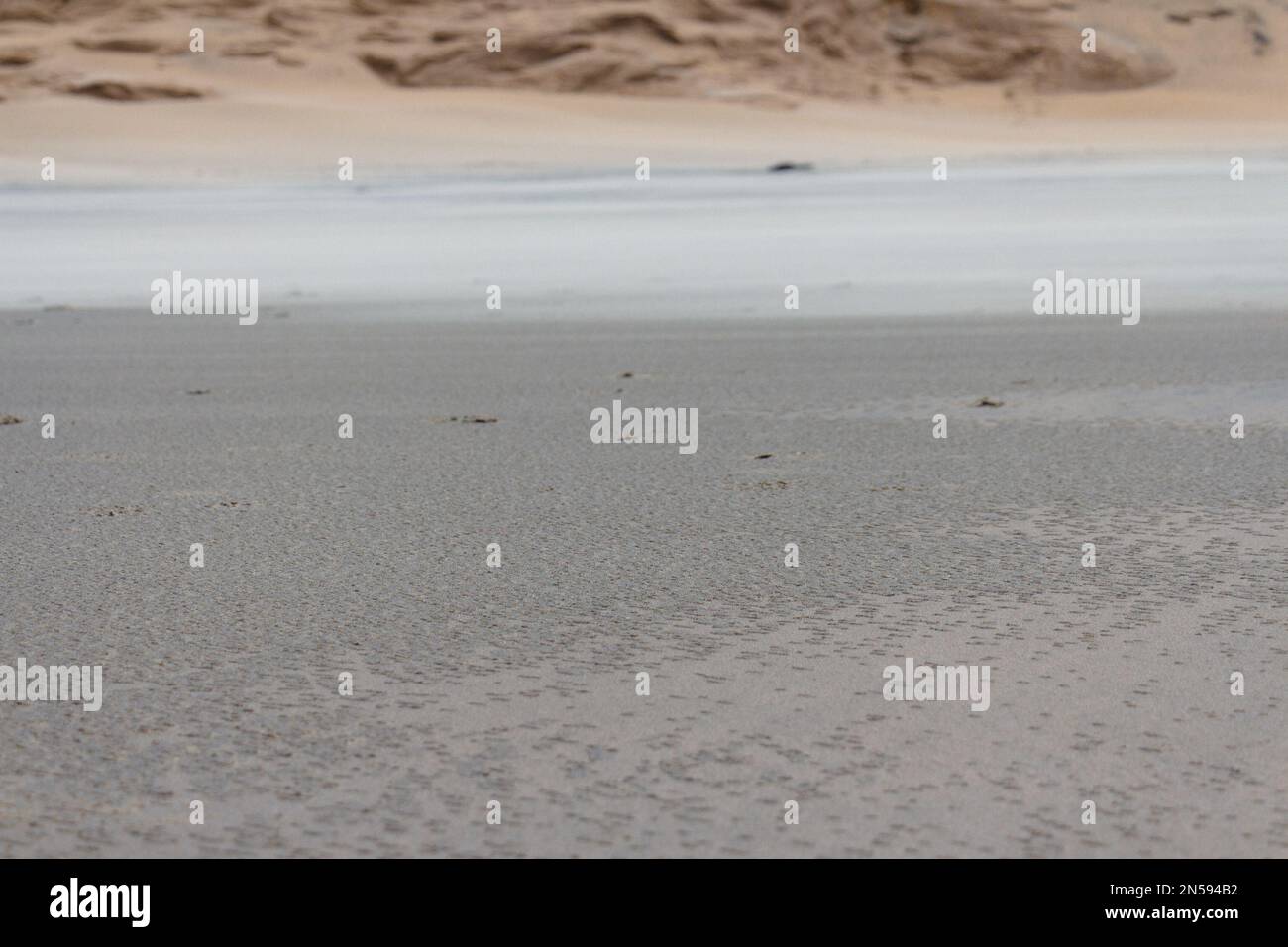 Pouto beach hi-res stock photography and images - Alamy