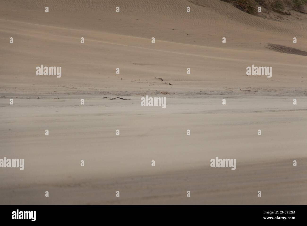 Pouto beach hi-res stock photography and images - Alamy