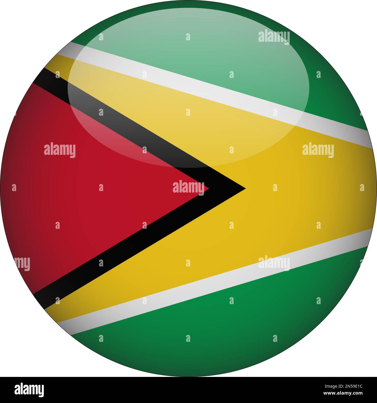 Guyana 3d Rounded Flag Icon Button Vector Stock Vector Image And Art Alamy