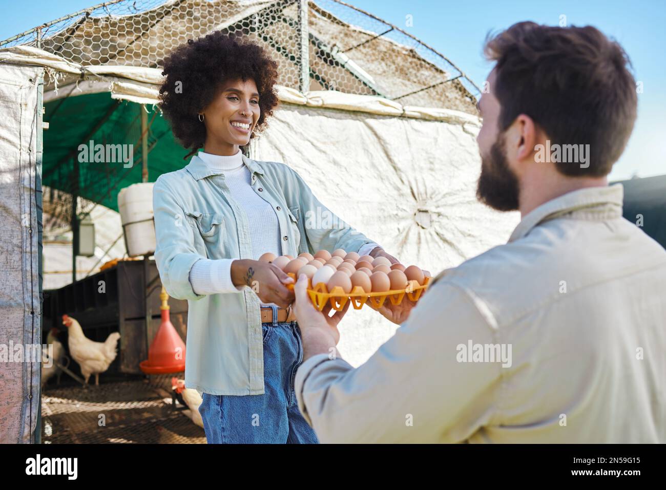 Egg production, chicken farmer and people in barn to check stock ...