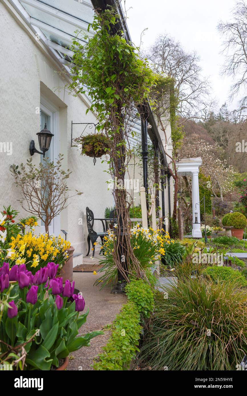 Rosemoor House, built in the 18th century and the former home of Lady ...