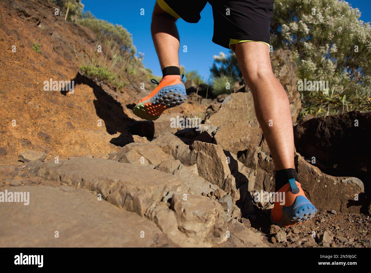 Athlete running sport feet on trail, selective focus on sole.Training ...
