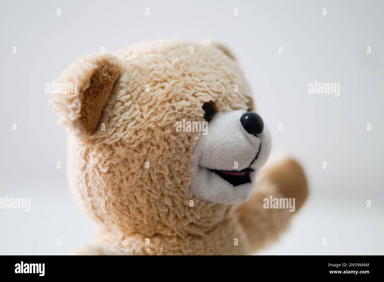 Close up cute teddy bear hi-res stock photography and images - Alamy