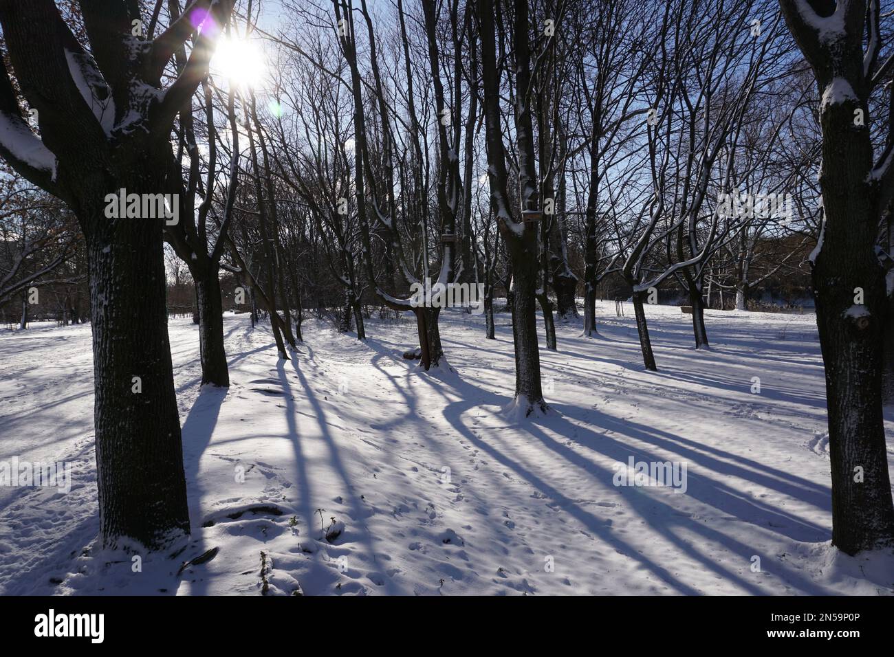 Sun casting shadow in snow hi-res stock photography and images - Alamy