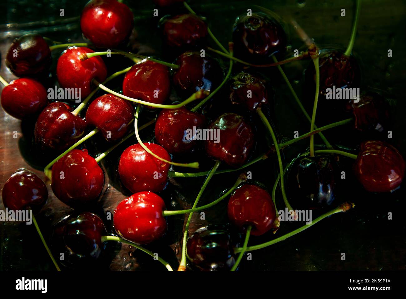 Fresh cherry on black background in a low key under hard shadows ...