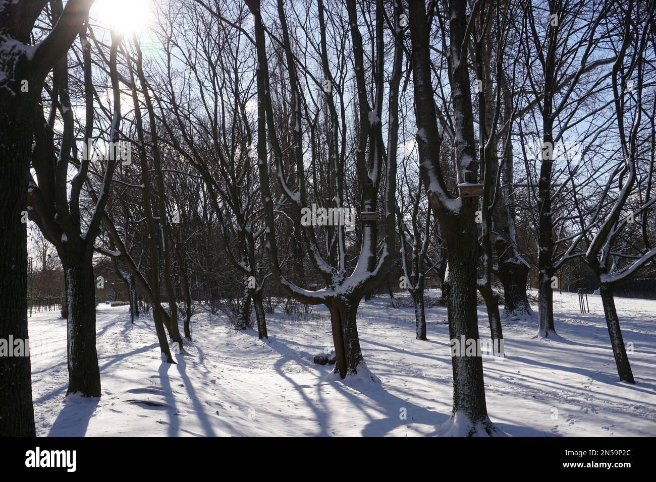 Sun casting shadow in snow hi-res stock photography and images - Alamy
