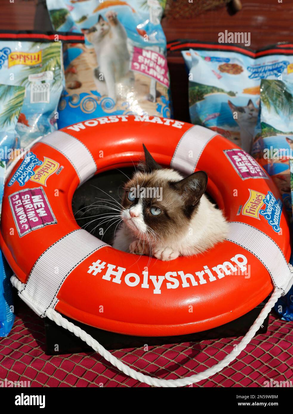 Grumpy Cat, Friskies’ “Official Spokescat,” earns her rank as “Worst Mate” aboard the S.S. Holy ...