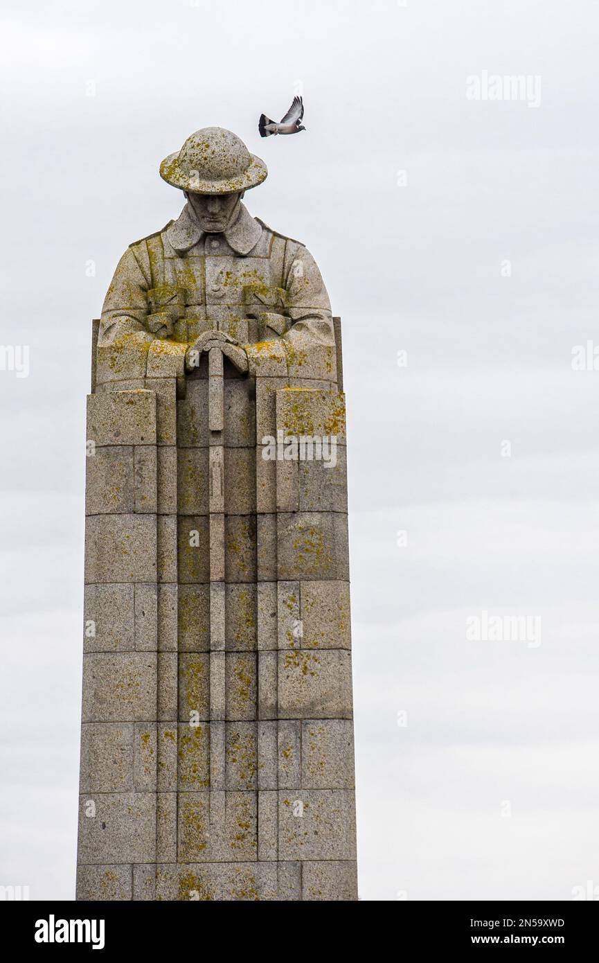 A bird flies over the World War One Canadian Memorial, also known as ...