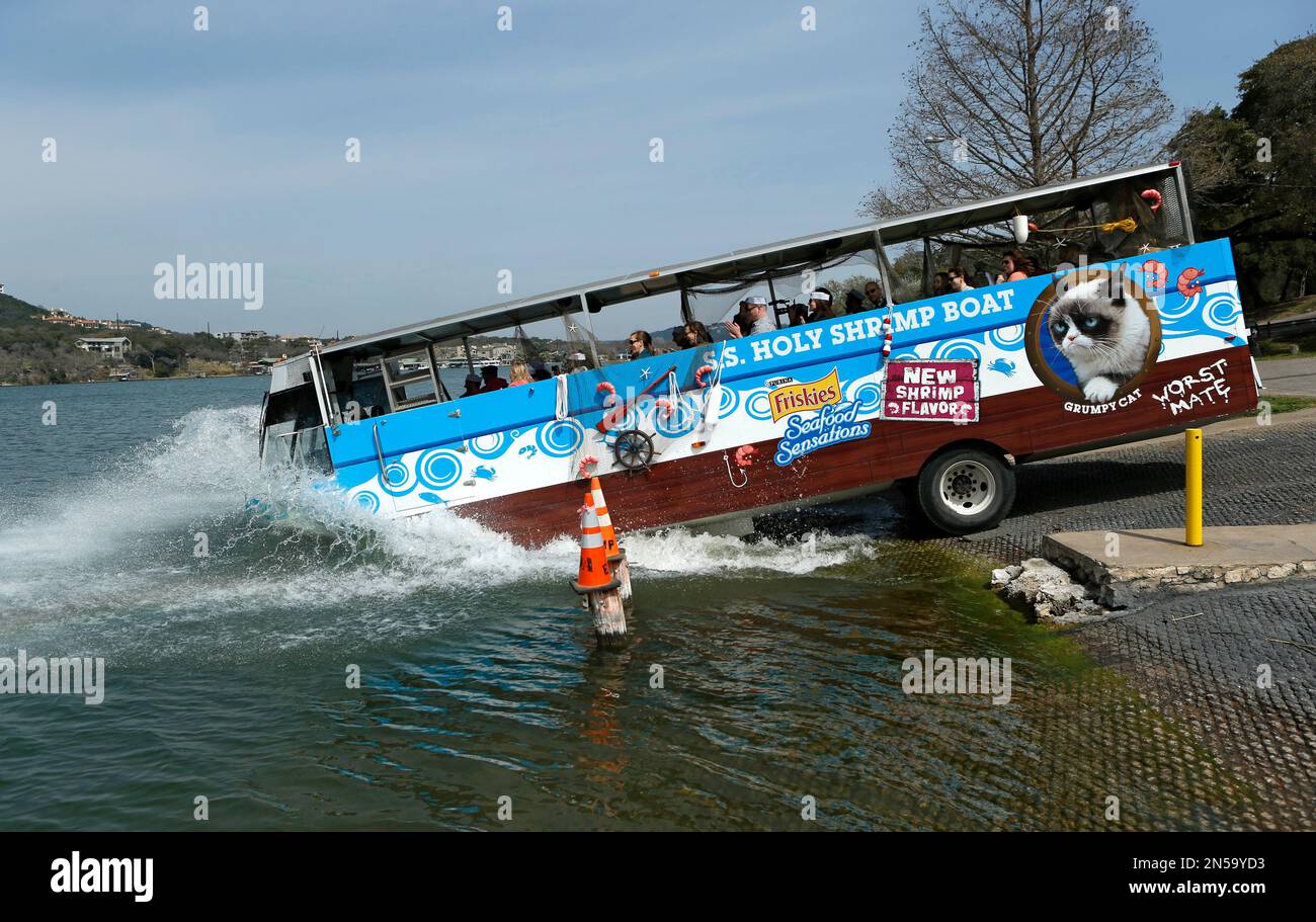 IMAGE DISTRIBUTED FOR FRISKIES - Passengers join Grumpy Cat, the “Worst ...