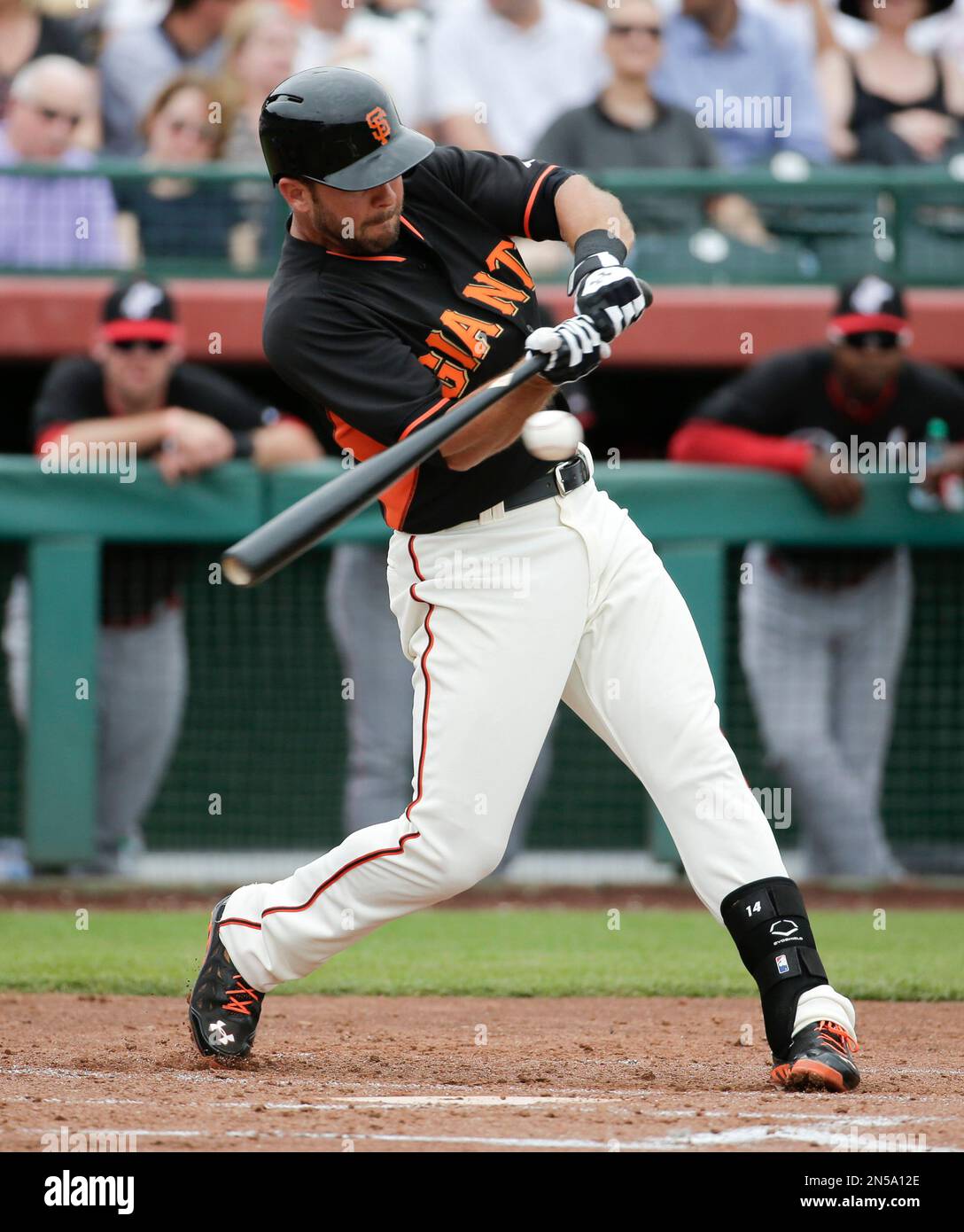 San Francisco Giants' Brandon Hicks bats during a spring training ...