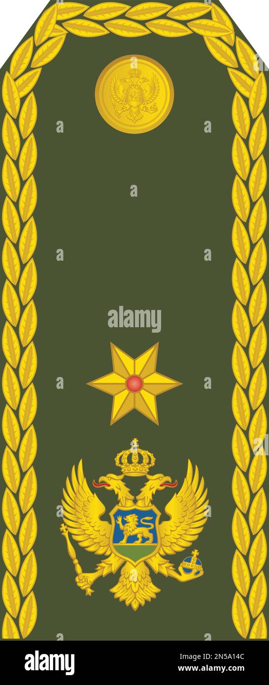 Shoulder pad military officer insignia of the Montenegrin BRIGADIR ...