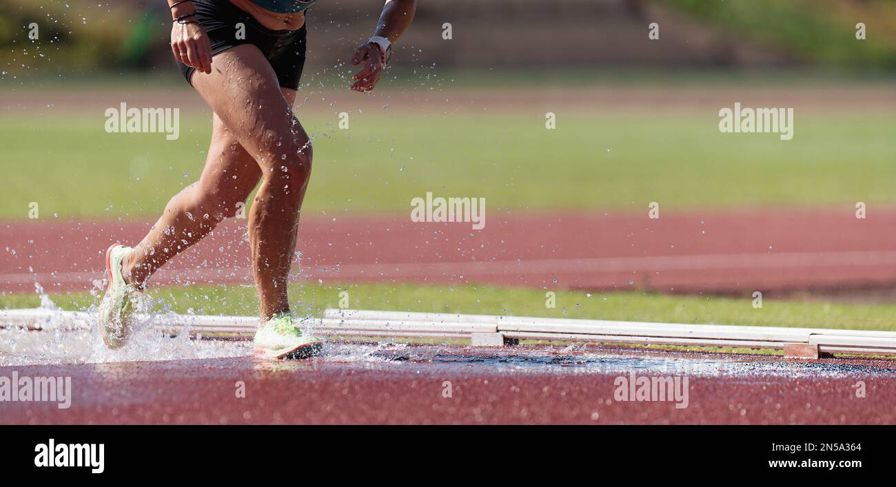 Runner running through the steeplechase water bake on a running track ...