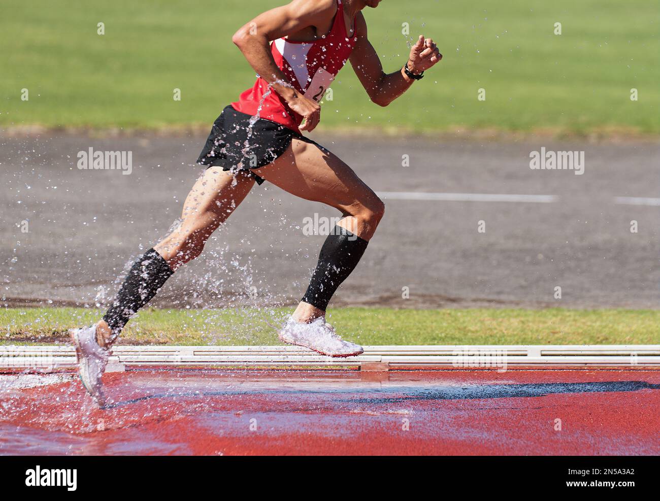 Steeplechase water jump track hi-res stock photography and images - Alamy